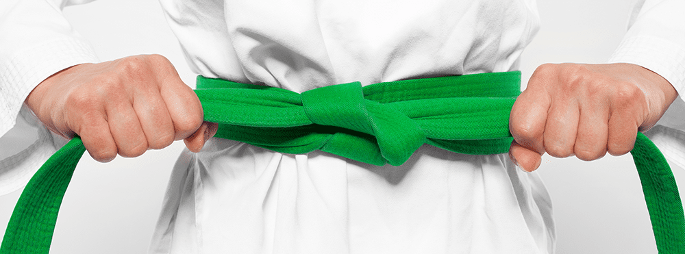 Embracing Lean Six Sigma Green Belt Projects: A Catalyst for ...